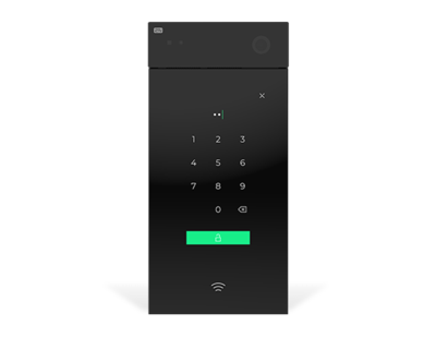 2N IP Style main unit, secured